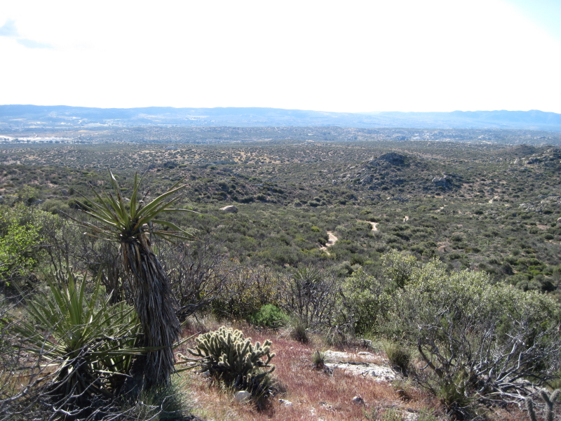 Lark Canyon- Sunday the 15th - 1 to 3 Day Ride Write-Ups, Stories and ...