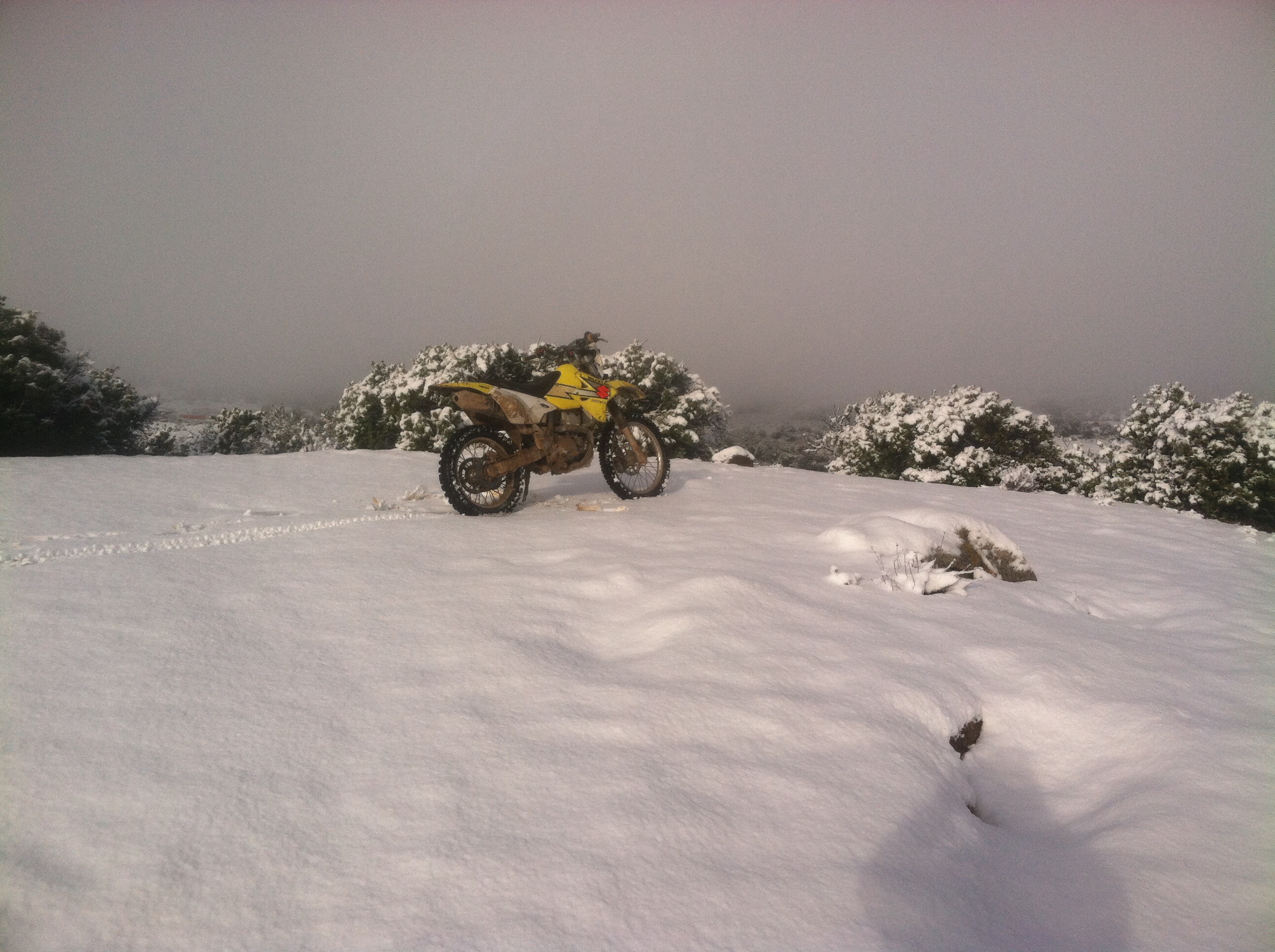 Snow ride - 1 to 3 Day Ride Write-Ups, Stories and Photos - San Diego ...