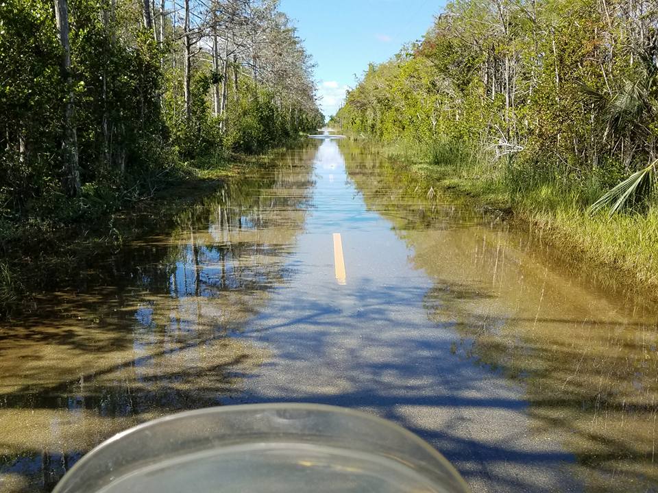 Everglades, Big Cypress Swamp and Gators !! - 1 to 3 Day Ride Write-Ups ...